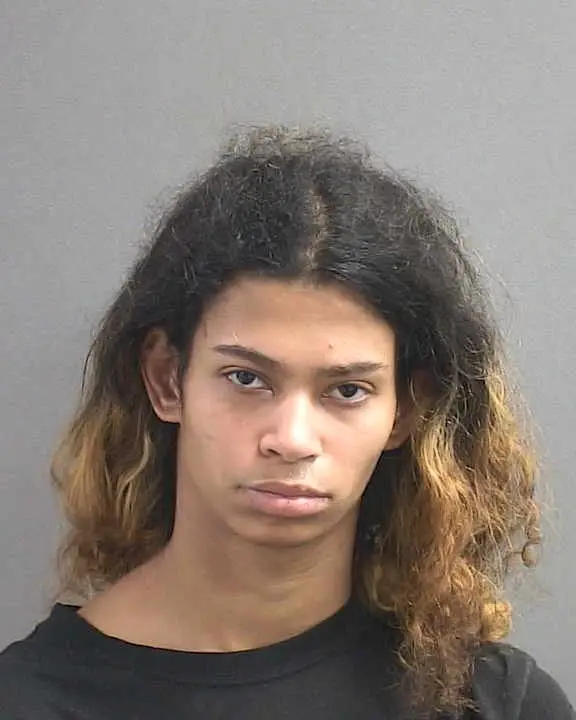 KELSEY RIPPY booked 20250604